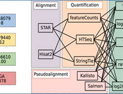 Mtscatac Seq Mitochondrial Single Cell Assay For Transposase