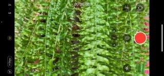 How To Set The Timer On Your IPhone Camera PetaPixel