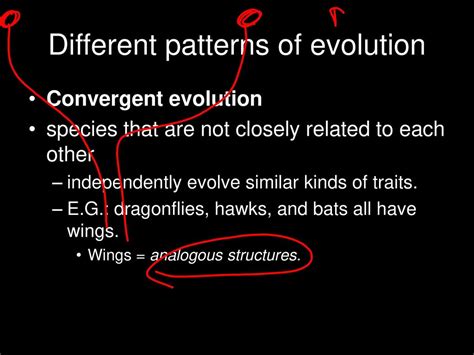 Evolution Ppt Download