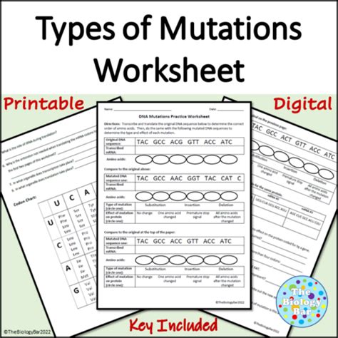 Mutation Practice Worksheet Printable And Digital Made By Teachers