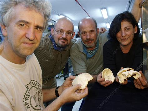 Extraction Of Fossil Dna Stock Image C018 5728 Science Photo Library