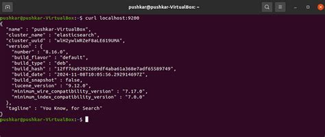 Step By Step Guide To Installing Elasticsearch On Linux