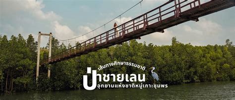 Readme Me ศูนย์ศึกษาธรรมชาติป่าชายเลน ชุมพร