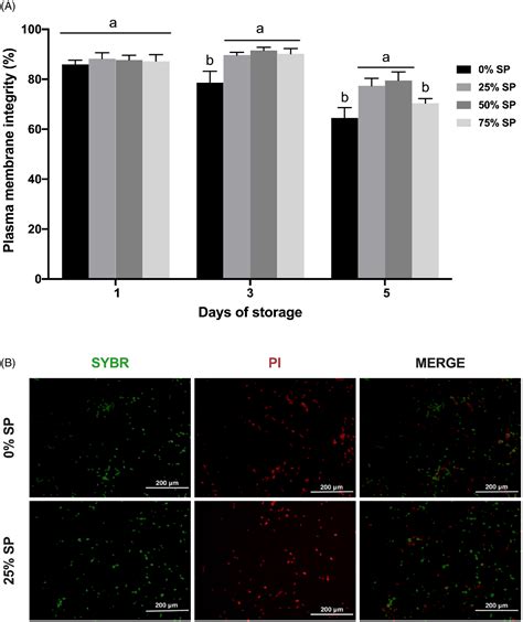 Boar Seminal Plasma Improves Sperm Quality By Enhancing Its Antioxidant