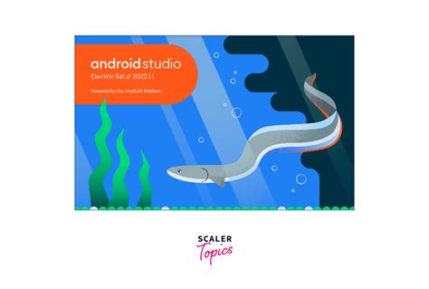Hello World Program In Android Scaler Topics