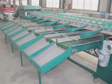 Date Palm Sorting And Cleaning Machinesorting System In Shanghai