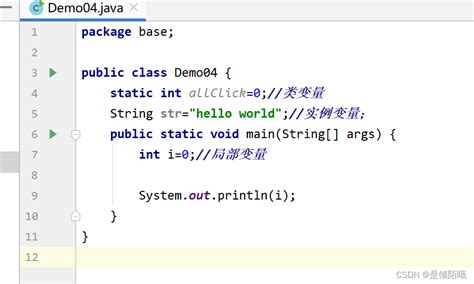 Java变量与命名规范 Csdn博客