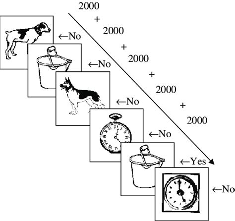 Sample Of The Stimuli Of The Cc Continuous Recognition Task