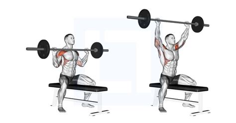 Dumbbell Standing Overhead Press Guide Benefits And Form