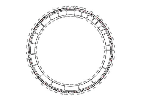 High Level Genomic Functions Sample Code Rewritten By Circlizeplus To Generate Graphics In