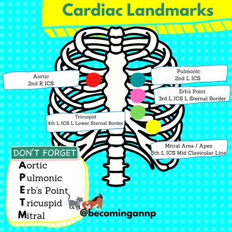Dosage Calculation Cheat Sheet Artofit