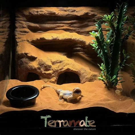 Reptile Food And Water Bowls Ceramic Feeding Dish For Lizards Geckos