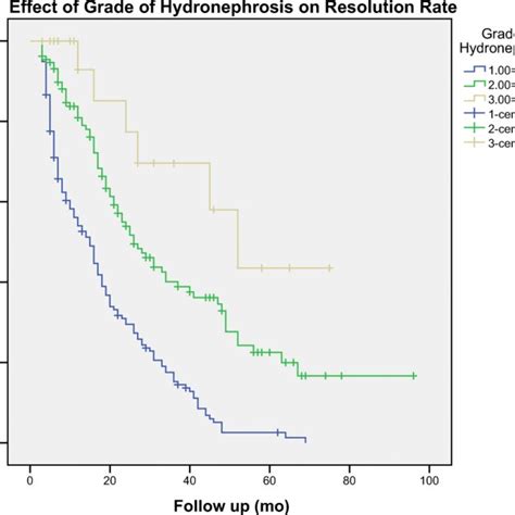 Kaplan Meier Curves Of Spontaneous Resolution In The Patient Cohort As Download Scientific