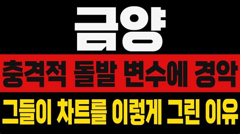 금양 주가전망 🚨필수시청🚨 충격적 돌발 변수에 경악🔥🔥🔥 그들이 차트를 이렇게 그린 이유는 Youtube
