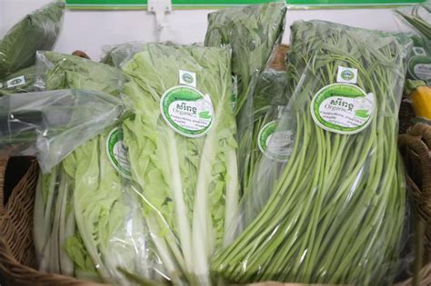 រដ្ឋមន្រ្តីក្រសួងកសិកម្ម ចុះពិនិត្យមជ្ឈមណ្ឌលប្រមូលផ្តុំ និងចែកចាយបន្លែសុវត្ថិភាព នៅខេត្តកណ្តាល