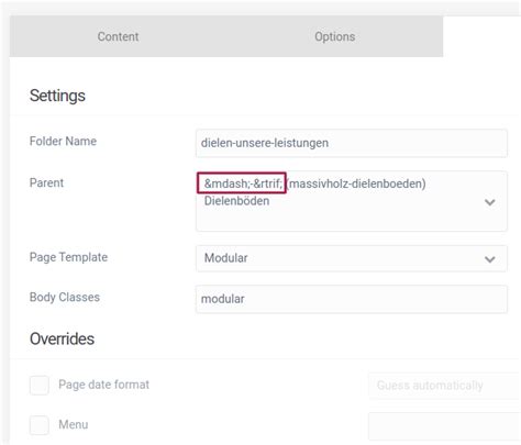 Html Entities Are Not Rendered Properly · Issue 1990 · Getgravgrav
