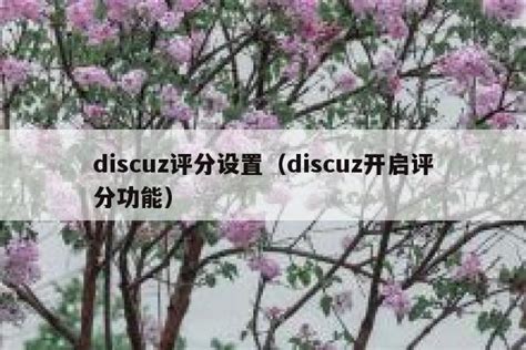 Discuz Discuz Discuz Cms