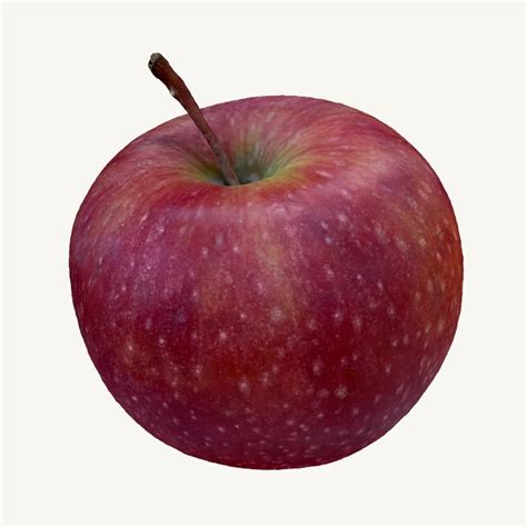 Fruit 3d Models Edible Selections Polycam