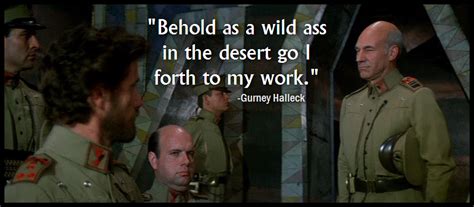 Bernal Alpha Gurney Halleck