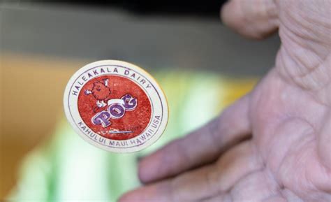 Pamatujete Na Pogy Fenomén 90 Let Je Zpátky Na Scéně