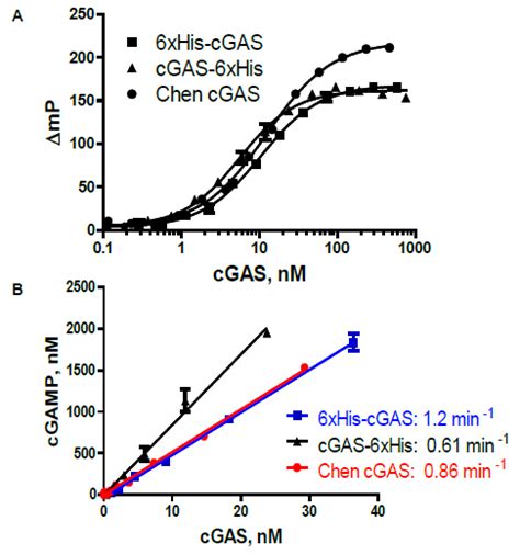 Autoimmune Diseases Targeting The Cgas Sting Pathway
