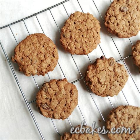 Milo Oatmeal Raisin Cookies 美祿燕麥提子乾曲奇 Ec Bakes 小意思