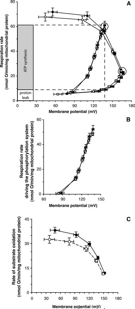 Modular Kinetic Analysis Averaged Values The Figure Shows A Modular Download Scientific