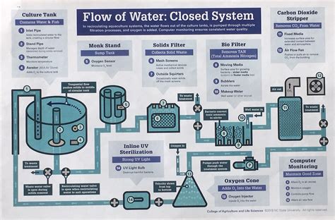 Recirculating Aquaculture System