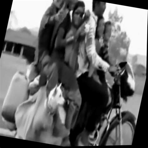 3 Person Detection On 2 Wheeler Object Detection Model By Mlesproject