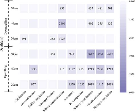 Microbial Function Prediction Faprotax Database Download Scientific Diagram