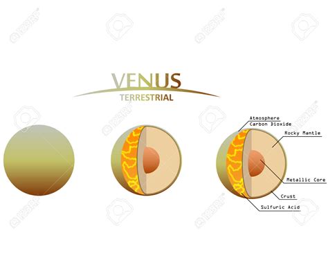 Terrestrial Clipart 18 Free Cliparts Download Images On Clipground 2026