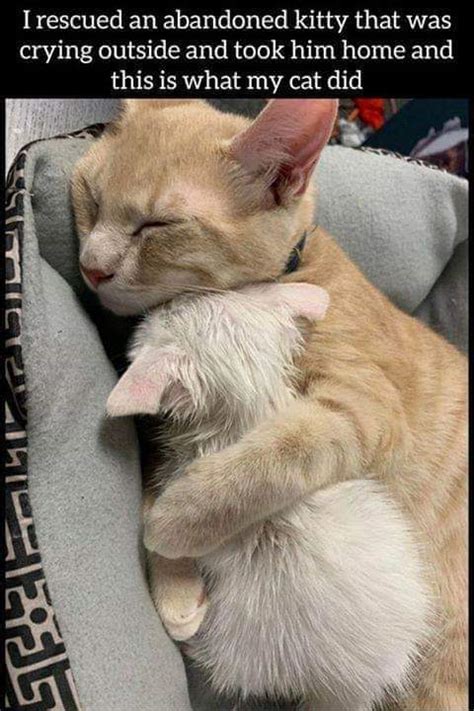 Hug R Heckthisiswholesome