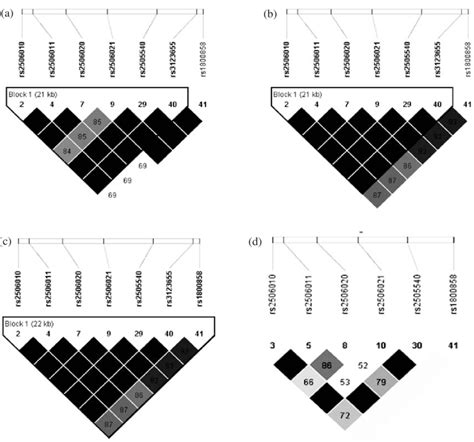 Linkage Disequilibrium Analysis Of Single Nucleotide Polymorphism Snp