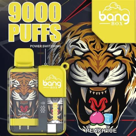 Vapsolo Twins 20000 Puffs 2 5 Low Nicotine Rechargeable Disposable