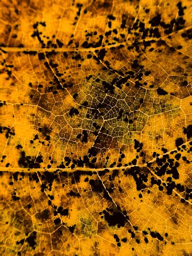 The Art And Data Science Of Designing Data Products A1m Solutions Eleanor Nesbit