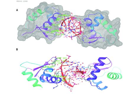 A And B Show The 3d Structures Of The Za Domain Of The Rna Editing
