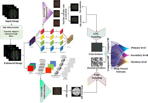 Detection Of Motor Nervous Disease Using Deep Learning Based Duple Feature Extraction Network