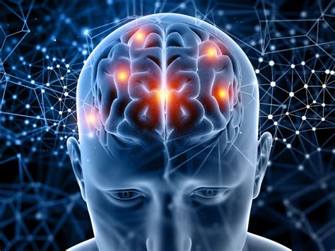 The Suprachiasmatic Nucleus How The Brain Controls Sleep Sleep Psychiatrist