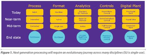 A Novel Downstream Monoclonal Antibody Purification Template To Address