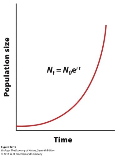 Ch 11 Population Growth Flashcards Quizlet