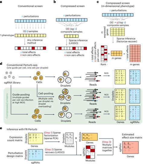 Scalable Genetic Screening For Regulatory Circuits Using Compressed Perturb Seqnature
