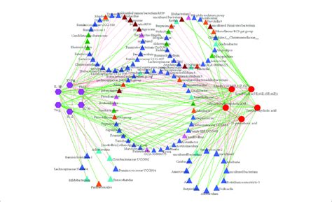 Construction Of Correlation Network Diagram Correlation Analyze Of