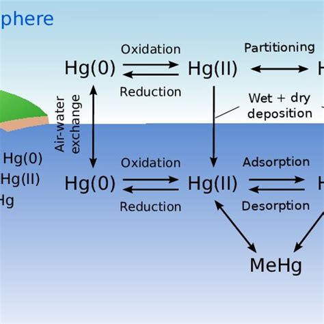 Coefficients Of Mercury Water Particle Partition In Seawater