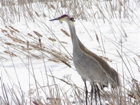 Our Unique Arithmetic Assignment Northstarnature