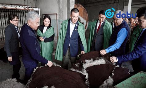 Гурилын импортын татварыг тэглэсэн нь ААН үүдэд хүнд цохилт болж байна Dobu Mn