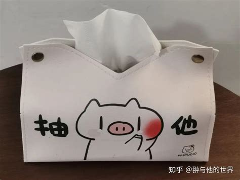 三种等距螺线的统一与差异 知乎