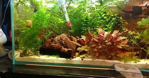current 12g long setup album on imgur