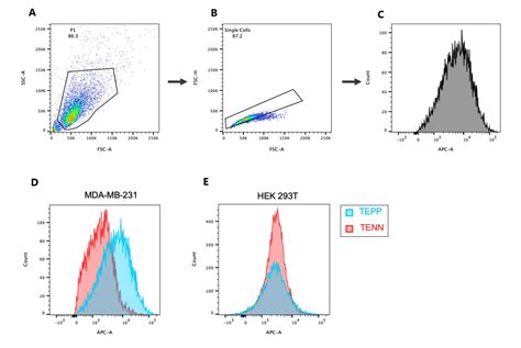A Flow Cytometry Based Cell Surface Protein Binding Assay For Assessing Selectivity And
