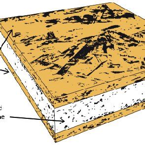 Structure Of A Typical SIP Download Scientific Diagram