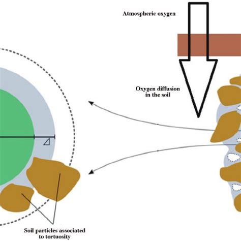 PDF Oxygen Diffusion In Soils Understanding The Factors And Processes Needed For Modeling